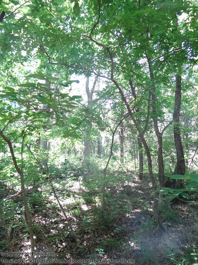 Building lot at Lake Chaparral Kansas | Smile4uinc.com