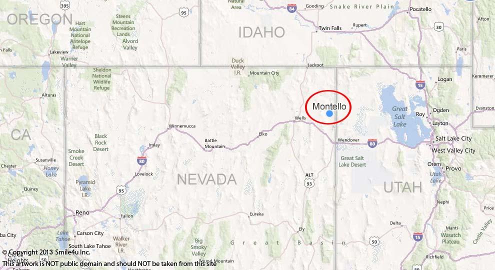 20 Acre Montello Area Land for Sale | Smile4uinc.com