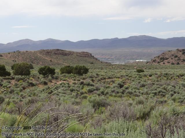 2 acres land in Spring Creek Nevada