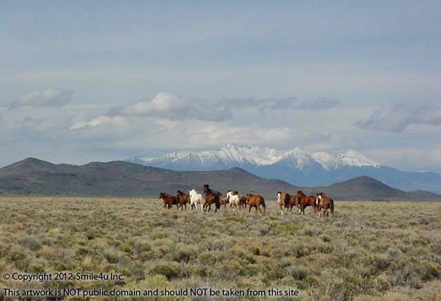 5 Acres by Rio Grande River Colorado