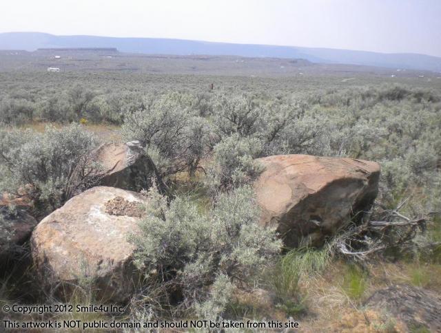 Washington Recreational Land 1+ Acre