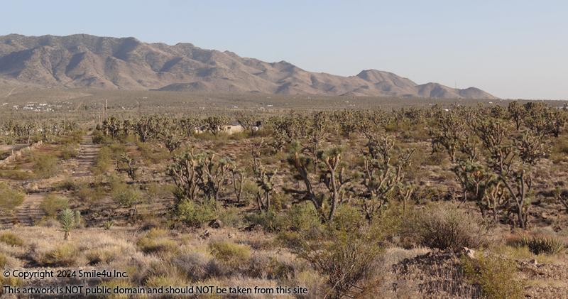 1 acre in Dolan Springs, Arizona 1.5 Hours SE of Las Vegas covered in ...
