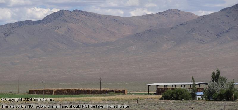 40 acres in Unionville, NV about 2 hours E of Reno by Rye Patch Reservoir!