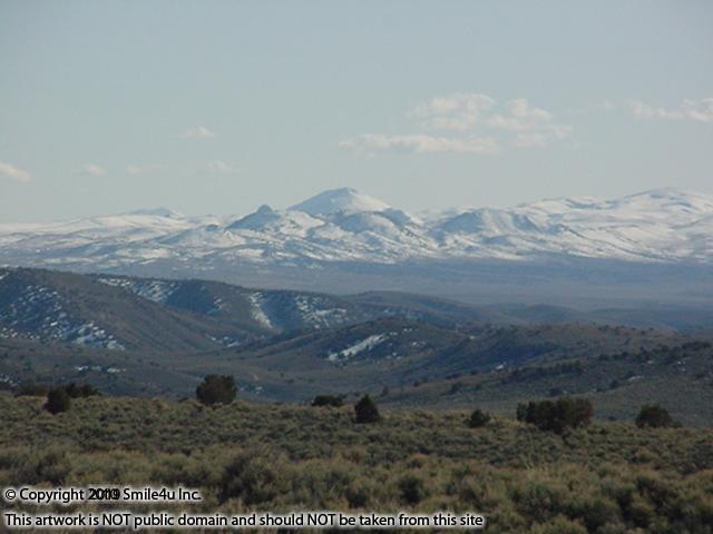 Land for sale close to town Elko NV!